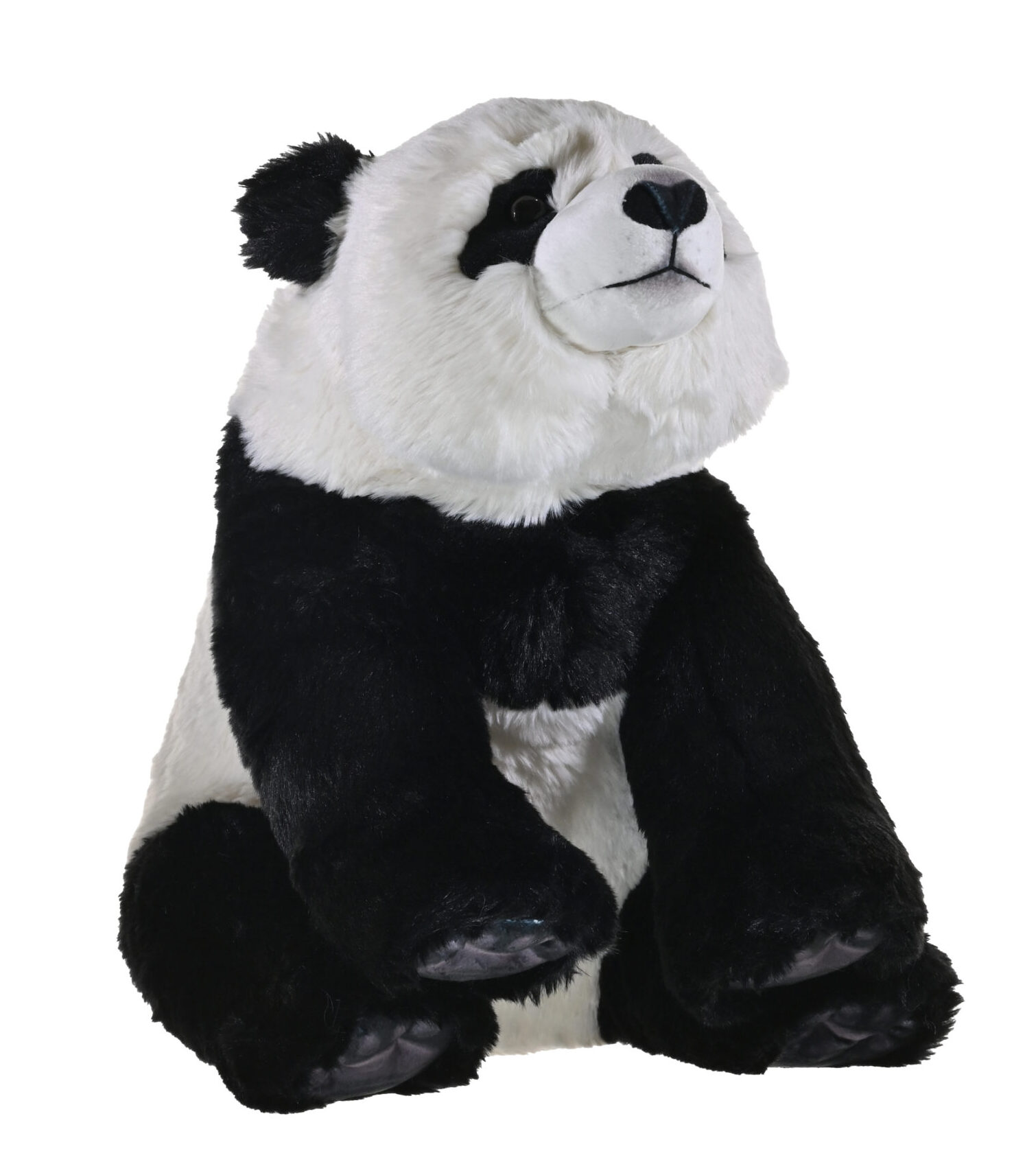 Panda Artistic Soft Toy | Plush Toy | Perth Toy Store | Online Toys ...