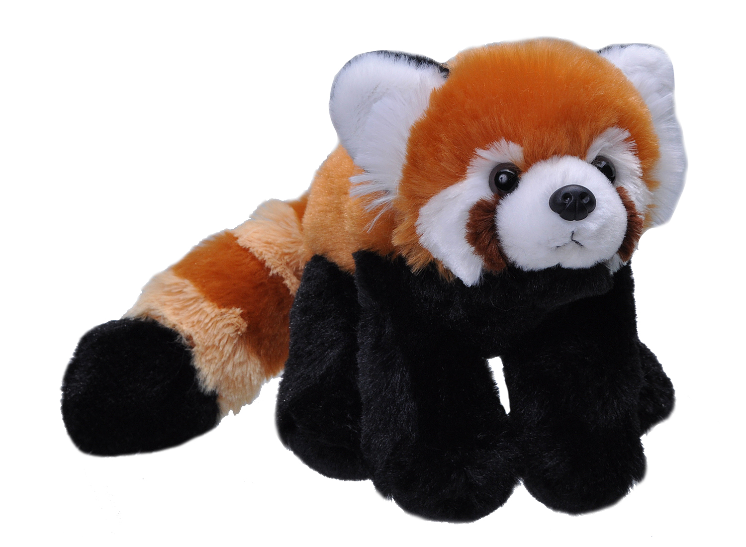 Red Panda Baby Small Soft Toy: Cuddly Plush Toy : Safe All Ages ...